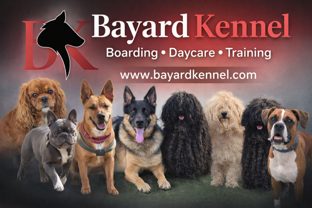 Dog Boarding & Training In Jacksonville, FL | Bayard Kennel